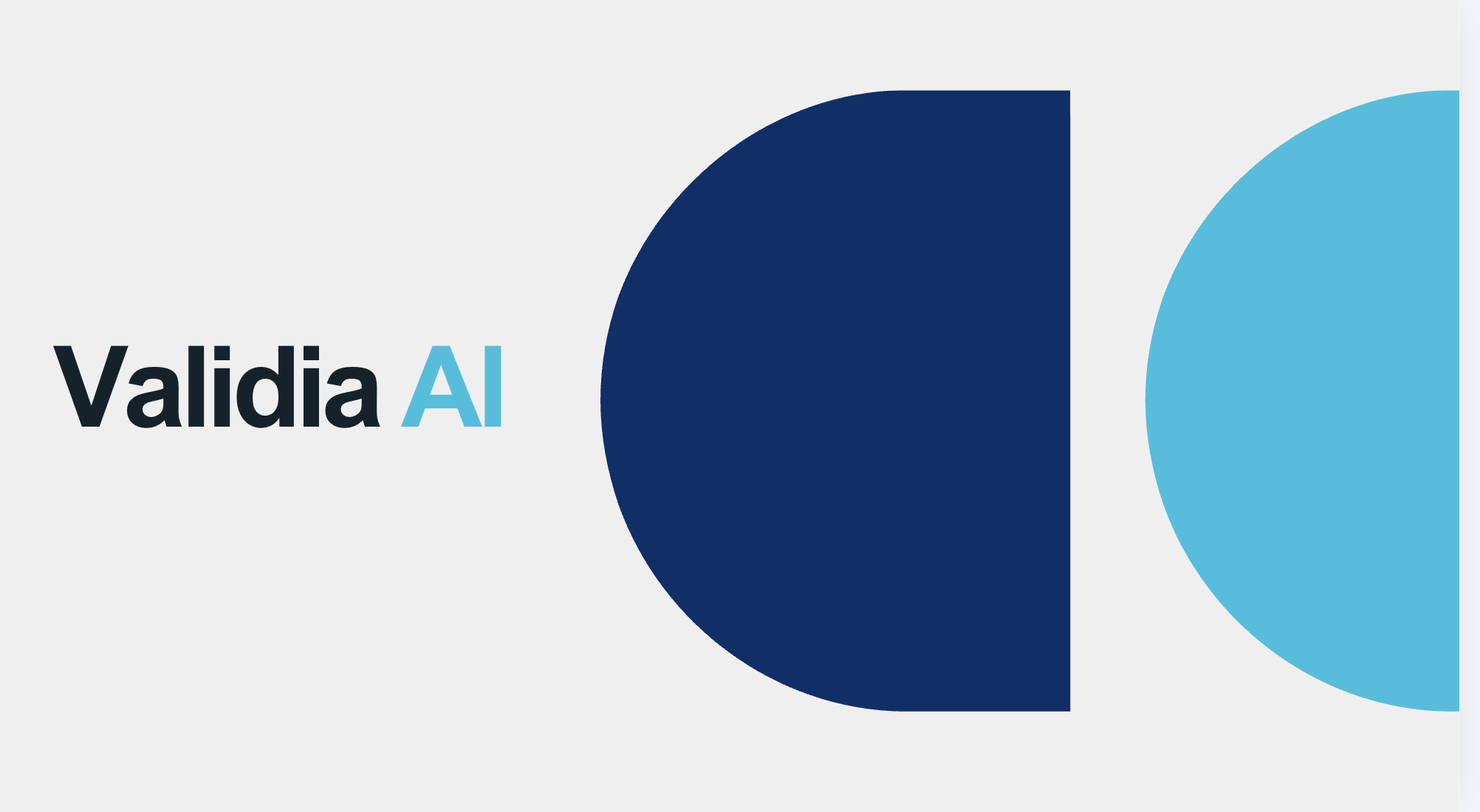 Validia - Enabling Safer, More Secure AI