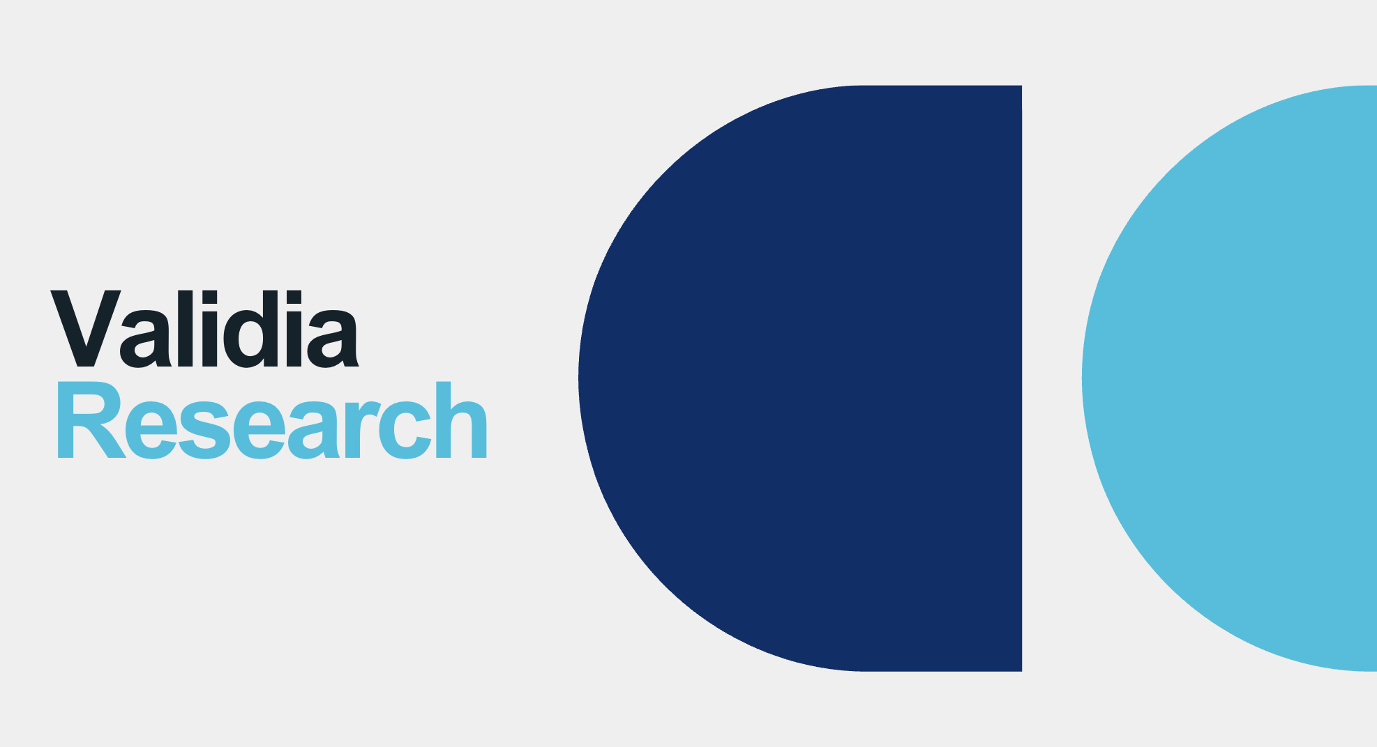 Research | Validia - Enabling Safer, More Secure AI
